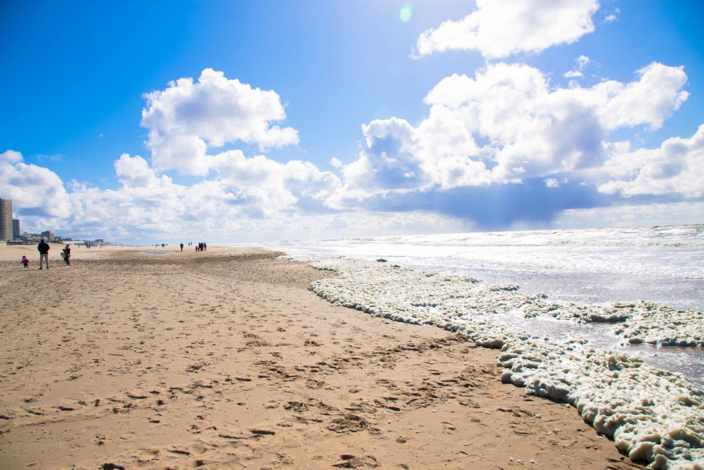 Wat zijn muien, waarom zijn ze gevaarlijk en wat kun je doen?