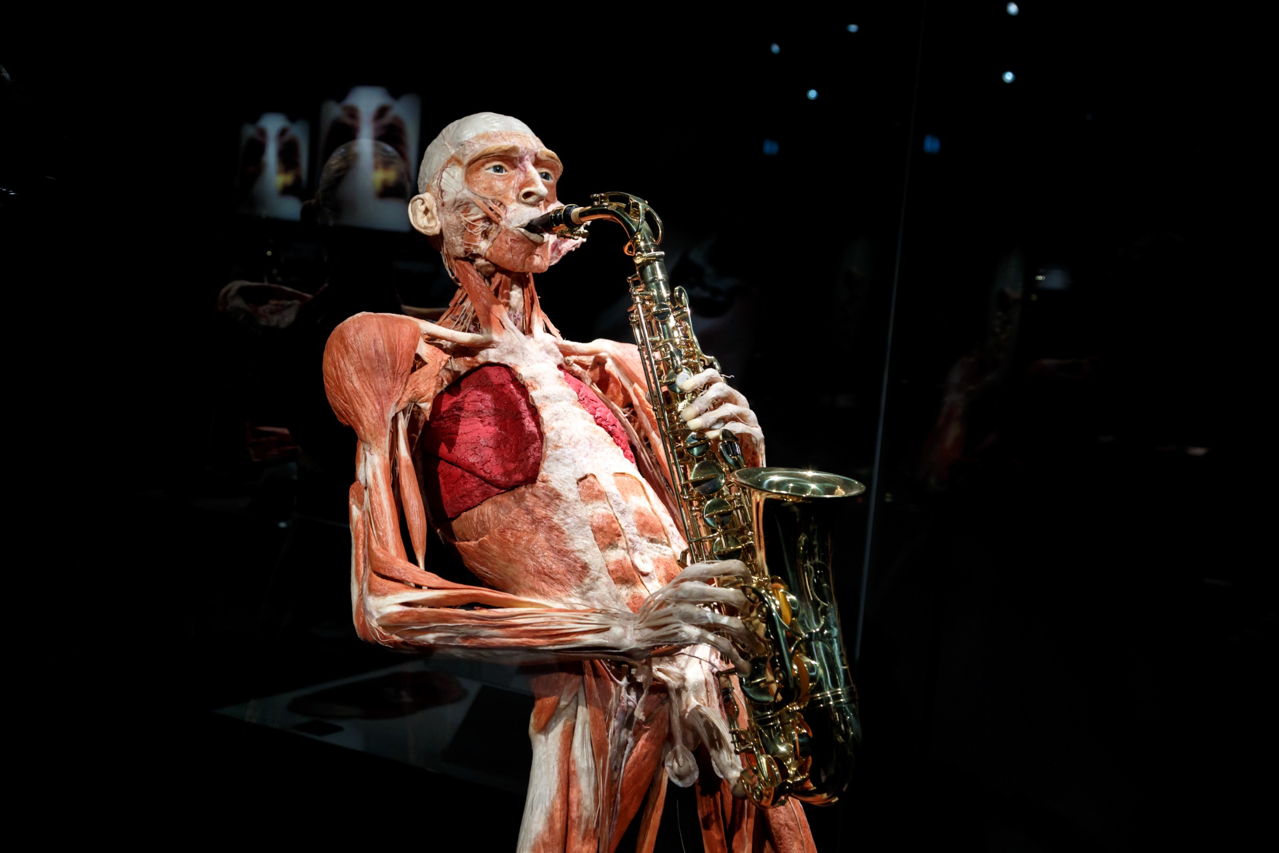Leer alles over ons lichaam bij Body Worlds Amsterdam - Trending.nl